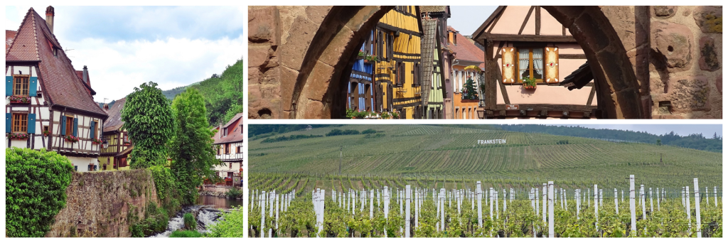Affenberg Kintzheim – Montagne des Singes im Elsass | Reisetipps Elsass